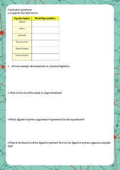 Digestive System Experiment By Alya Wiharno TPT