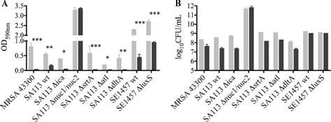 Efficacy Of Daptomycin Dap Against Detached Mrsa In Vitro A Od