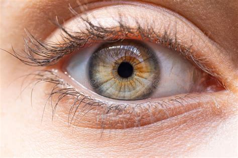 Close Up Of A Young Woman S Hazel Eye With Golden And Light Green Hues