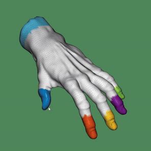 Drag Deform Meshes Yuhan Liu