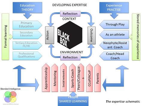 The Expertise Schematic Blended Intelligence