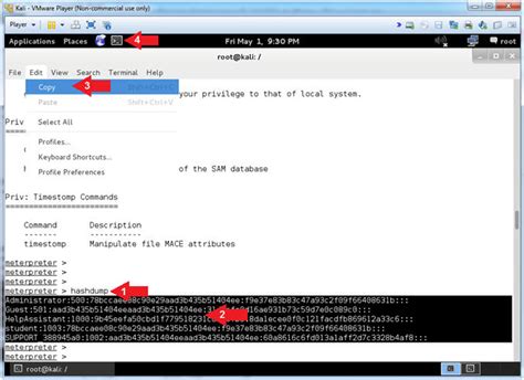 Metasploit Lesson 13 Illustrate Adobe Flash Player Exploit