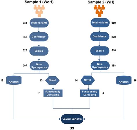 Analysis Workflow Applied Parallel To Each Sample Involving Filtering Download Scientific