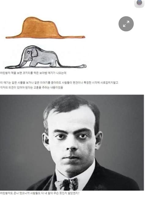 어린왕자의 저자 생텍쥐페리의 후회 웃긴 밈 저자 웃긴
