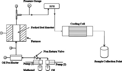 Schematic Diagram Of Continuous Experimental Setup Download