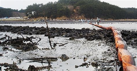 기름제거 방해물 무용지물 오일휀스