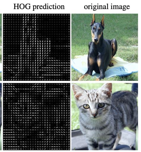 histograms of oriented gradients hog image with highl