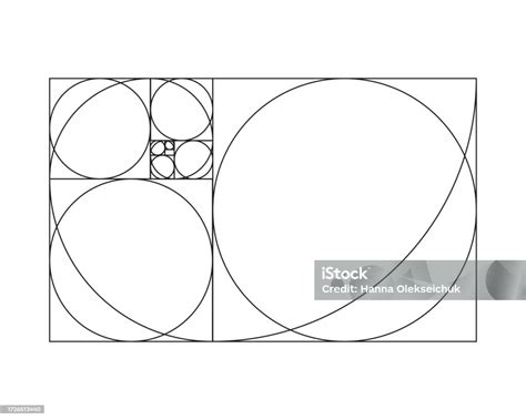 Golden Ratio Template Method Golden Section Fibonacci Array Numbers Golden Proportions Vector