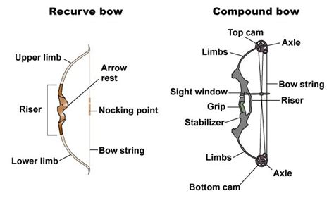 17 Melhores Imagens Sobre Bow References No Pinterest Tradicional Arcos Compostos E Sapatilhas