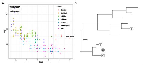 Chapter 12 Ggtree Utilities Data Integration Manipulation And Visualization Of Phylogenetic Trees