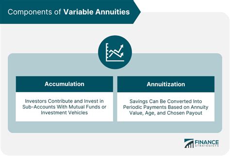 Variable Annuitization Definition Components Features Risks