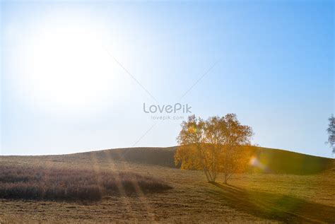Bashang Grassland Image And Picture For Free Download Lovepik