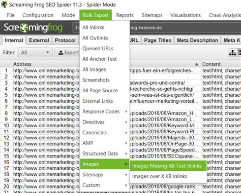 Screaming Frog Bildoptimierung Online Marketing Bremen