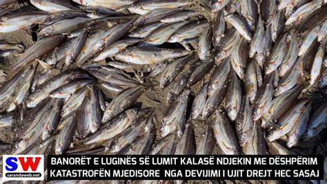 Banorët E Fshatrave Në Luginën E Lumit Kalasë Ndjekin Me Dëshpërim Pasojat E Tharjes Së Lumit Si