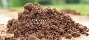 Good Soil Vs Bad Soil How To Prep Soil For Your Garden Curbly
