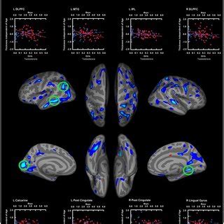 Results From Sex X TES Thickness Interaction Left Side Of The Figure Download Scientific