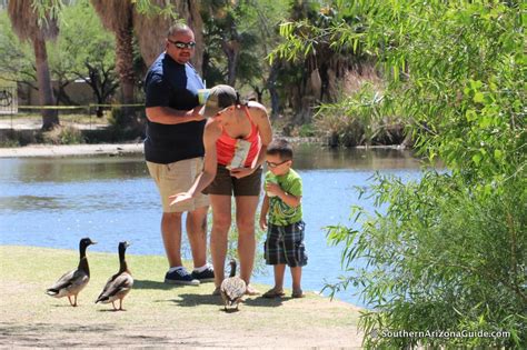 Agua Caliente Park A Desert Oasis In Tucson Things To Do In Tuscon Az