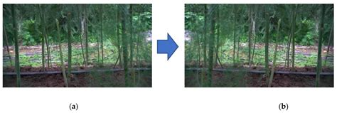 Detection Of Green Asparagus In Complex Environments Based On The Improved Yolov5 Algorithm