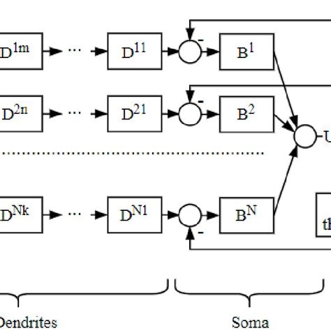 Structure Of A Compartmental Spiking Neuron Model í µí± í µí± í µí± Download Scientific