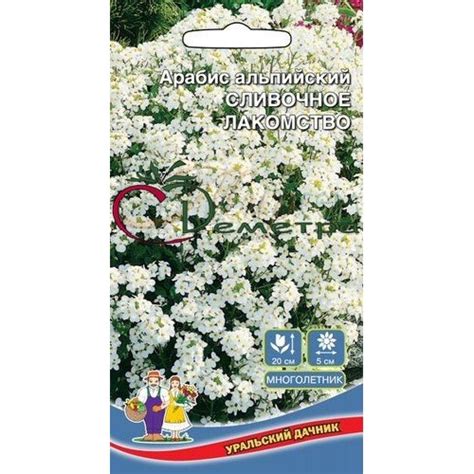 Арабис альпийский Сливочное лакомство
