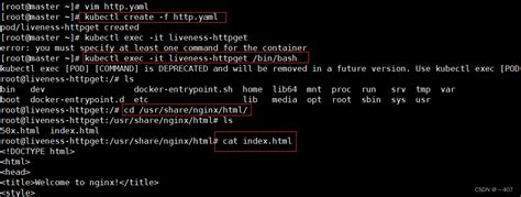 kubernetes（k8s）pod 探针检测 健康检测delay csdn博客
