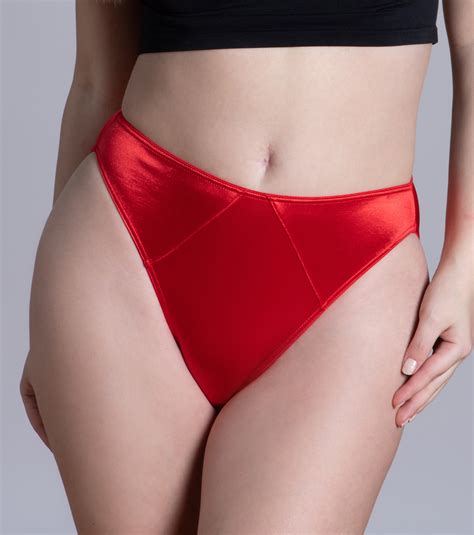 Satin High Cut Briefs