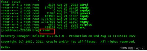 Oracle 简易客户端上使用rmanoracle进入rman模式 Csdn博客