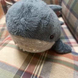 Smol Blahaj (u/smol_Blahaj) - Reddit