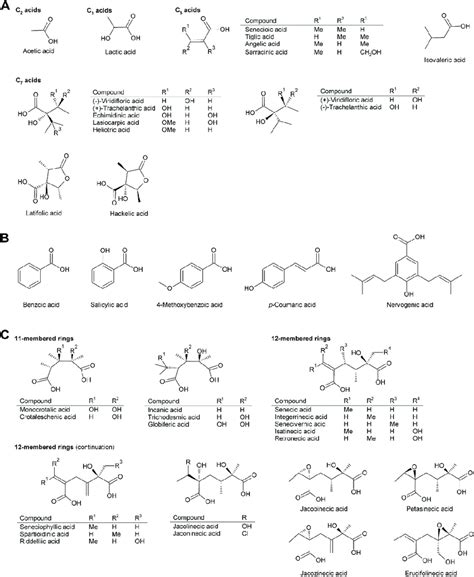 Examples For Necic Acids A Monocarboxylic Aliphatic Acids B