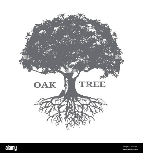 Oak Tree Silhouette With Roots Spreading Underground Suitable For Brands Or Organizations