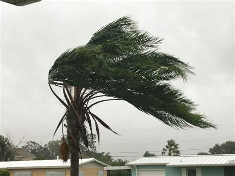How To Get Your Property Ready For Hurricane Season Jones Road Tree Service