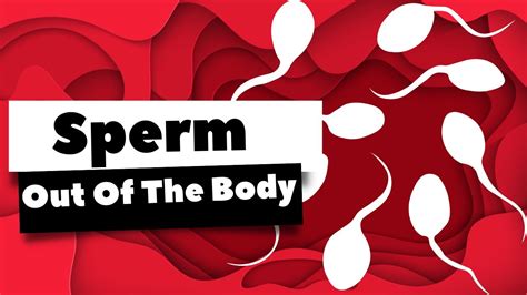 Gentle Care How To Safely Remove Sperm From The Female Body At Home YouTube