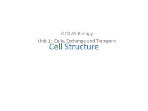 PPT Cell Structure PowerPoint Presentation Free Download ID 5516764