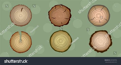 Vector Tree Rings Set Stock Vector Royalty Free