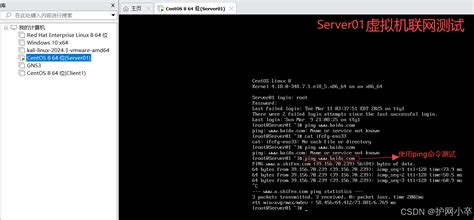 vmware虚拟机安装 linux centos 8操作系统 详细步骤图解——手把手教程 vmware workstation cent0s