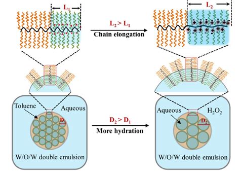 Polymer Based Photonic Structures Chemistryviews