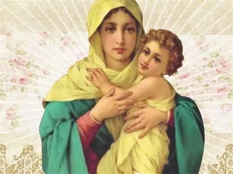 História Da Campanha Da Mãe Perigrina Caline Kaline Quizur