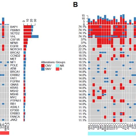 Landscape Of Gene Mutations From Patients With Clear Cell Renal Cell Download Scientific