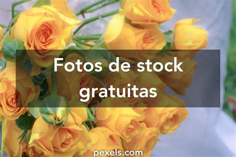 84 Fotos Y Imágenes De 福建兄妹系列列萝莉福建兄妹系列列zfzzidlxpo Gratis