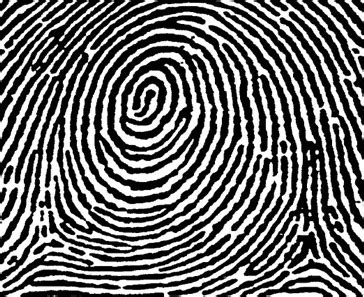 All About Forensic Investigative Sciences Fingerprints An Introduction