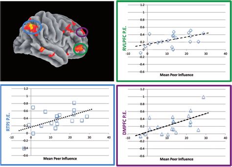 parameter estimates from the peer control contrast from selected