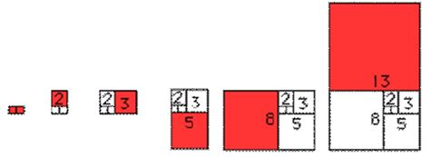Fibonacci Sequence Drawing Step By Step Coil Twessight