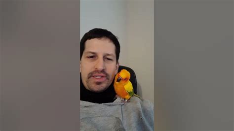 Kisses Youtube