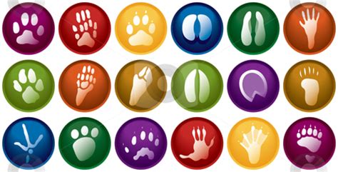 Eighteen Clipart 20 Free Cliparts Download Images On Clipground 2026