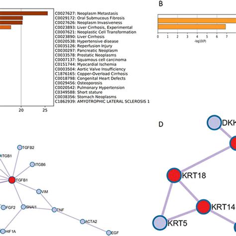 Gene Ontology And Protein Protein Interactions Showing A Bar Graph Of Download Scientific