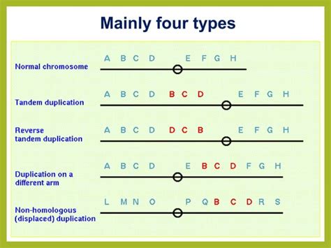 Structural Chromosomal Aberration Pdf