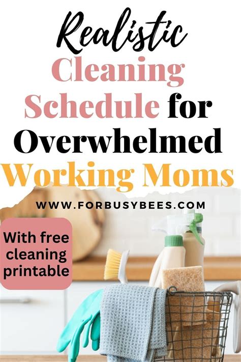 Realistic cleaning schedule for working mom - For Busy Bee's | Working ...
