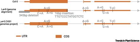 Whole Genome Alignment Tool At Hunter Coningham Blog