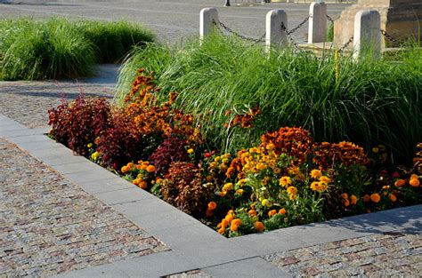 화강암 포장 블록의 광장에서 포장에 화단가장자리에 연간 꽃이 있는 다년생 화단 고리버들 테이블과 의자 카페 테라스 0명에 대한