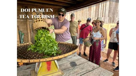 Chiang Mai 2 Day Lahu Tribe And Tea Tourism Experience
